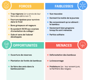 SWOT : l’outil d’analyse qui permet à votre stratégie d’aller plus loin
