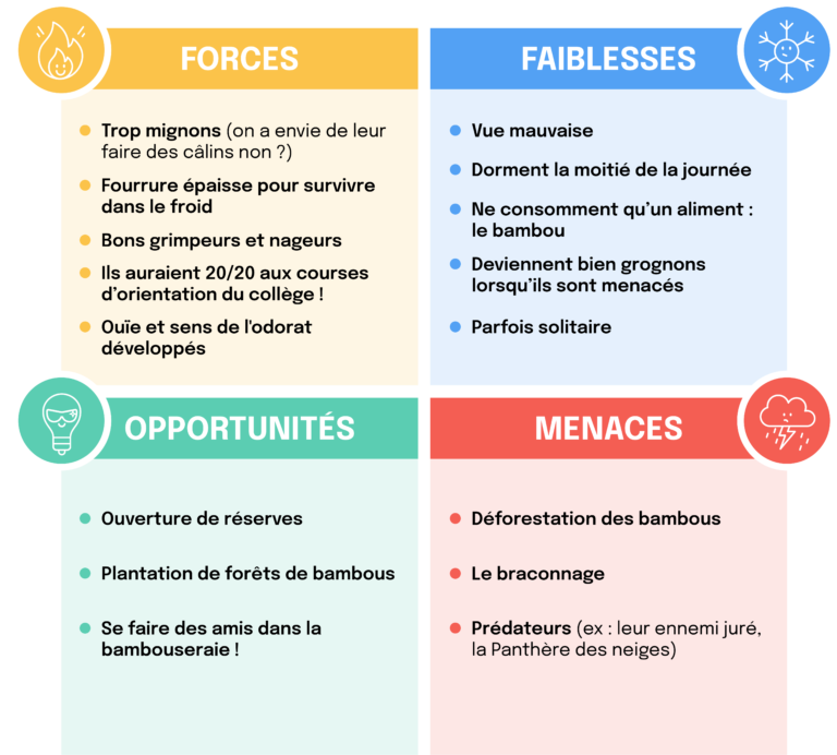 SWOT : l’outil d’analyse qui permet à votre stratégie d’aller plus loin