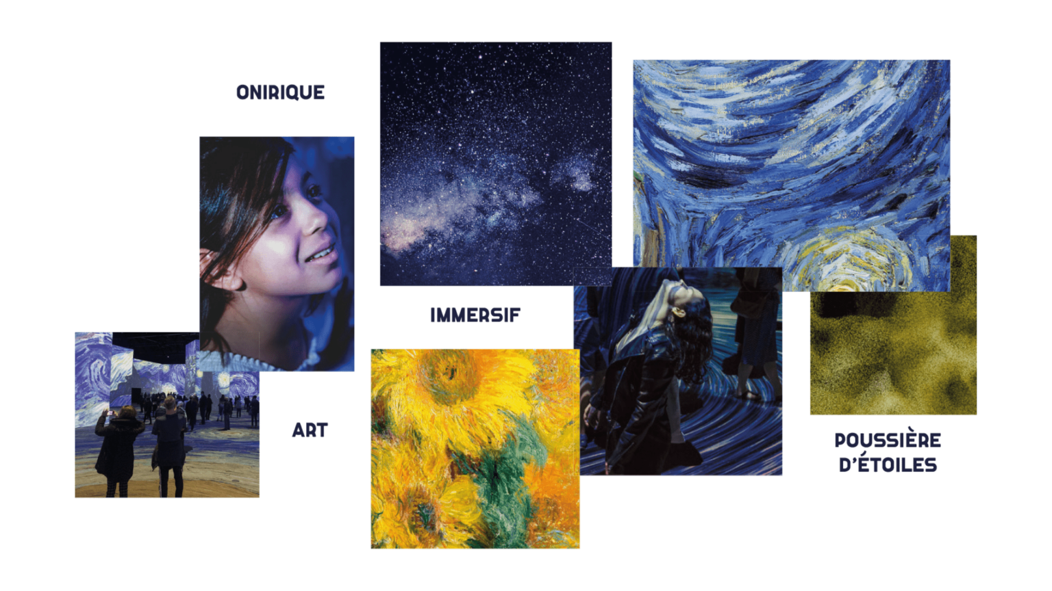 Création de l'identité visuelle Imagine Van Gogh - Agence créa AVICOM'